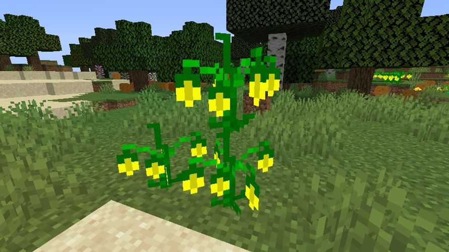 more plants | MCreator