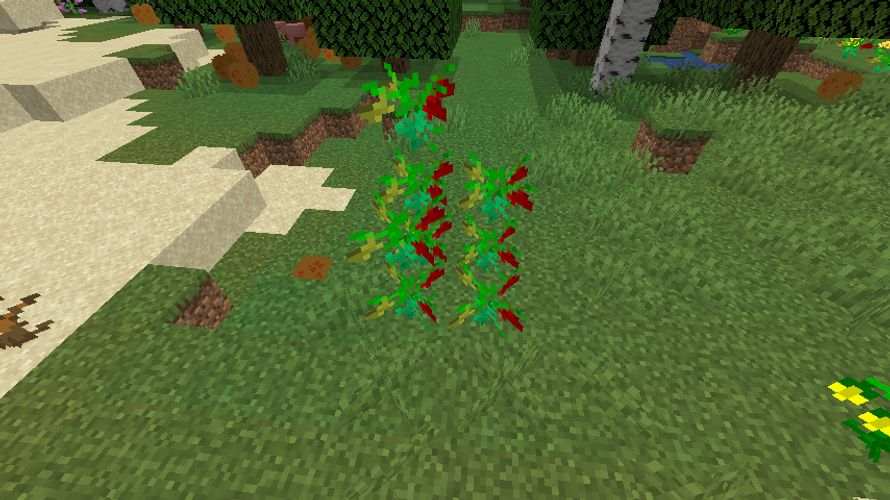 more plants | MCreator