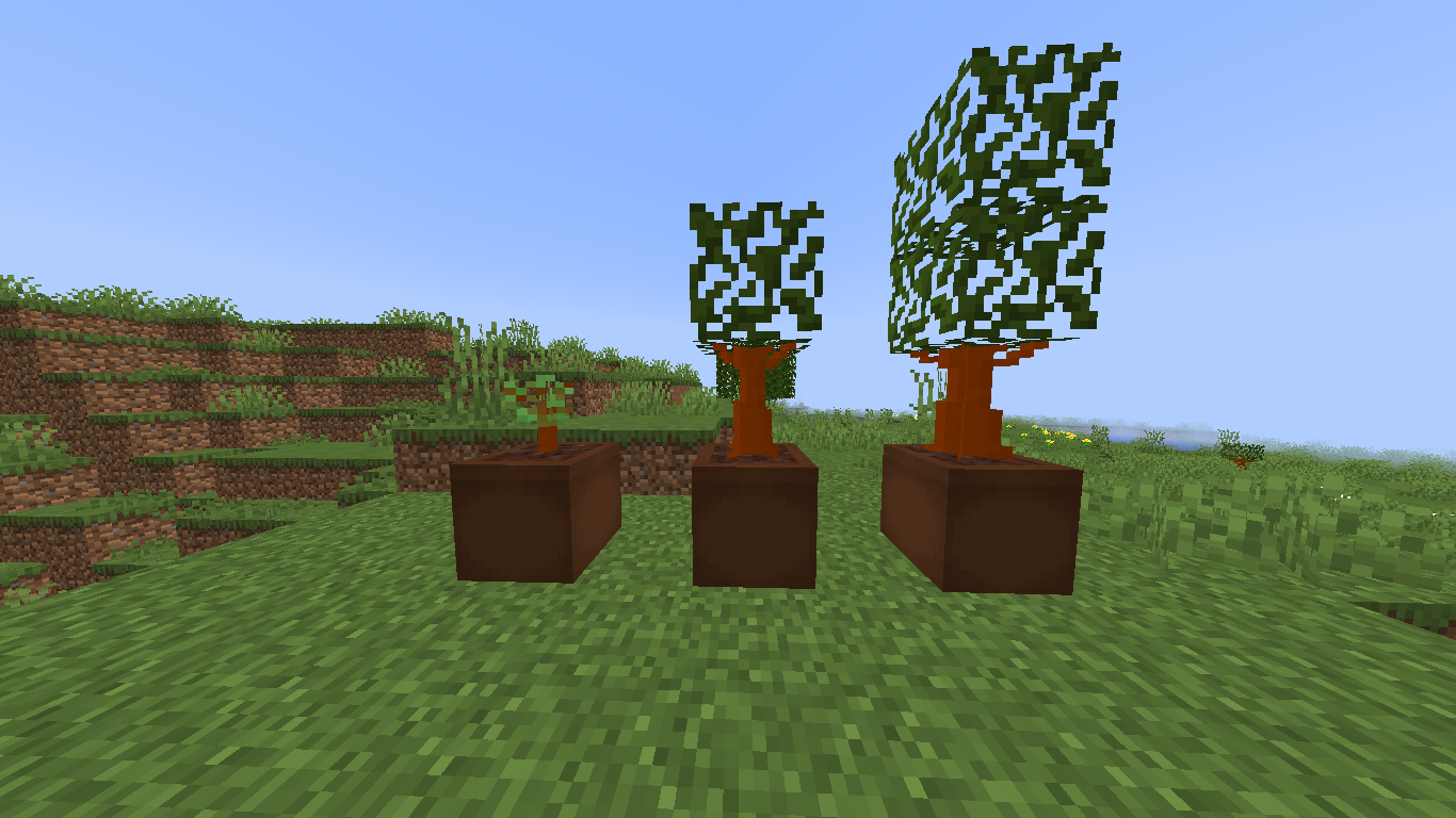 Bgfrog's Pots And Plants Mod | MCreator