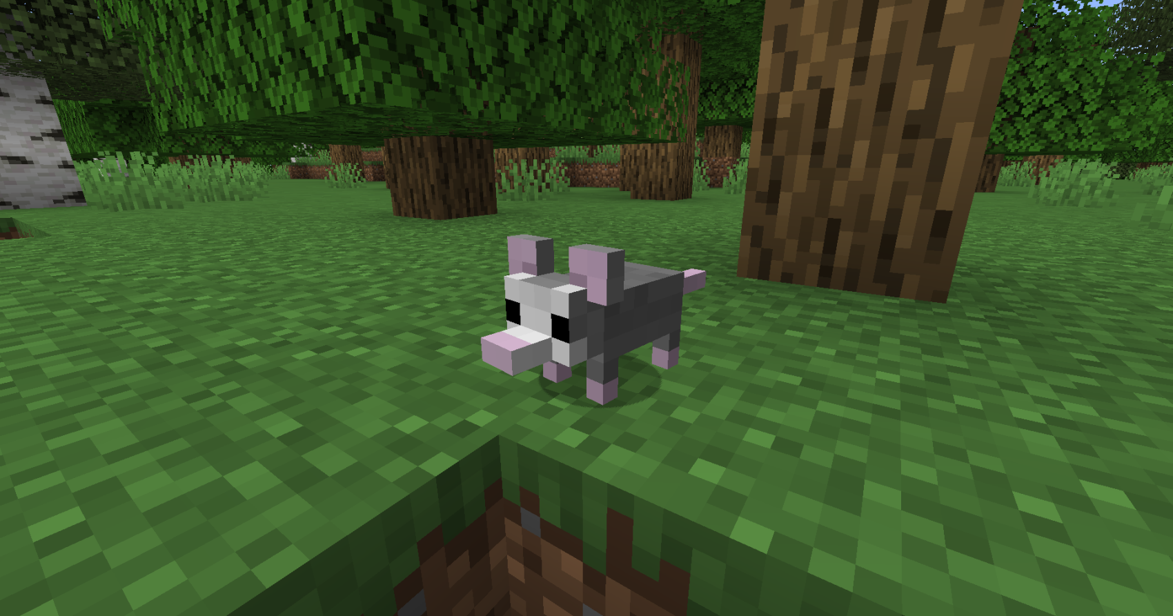 Awesome Possums Mod | MCreator