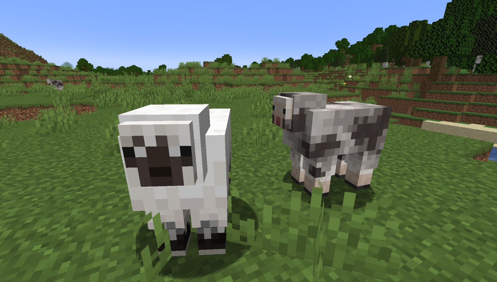 Earth Sheep | MCreator