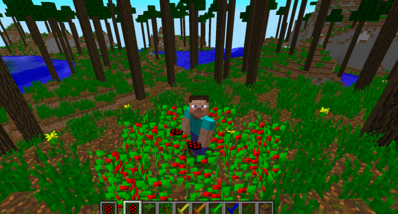 Chicken's Extras | MCreator