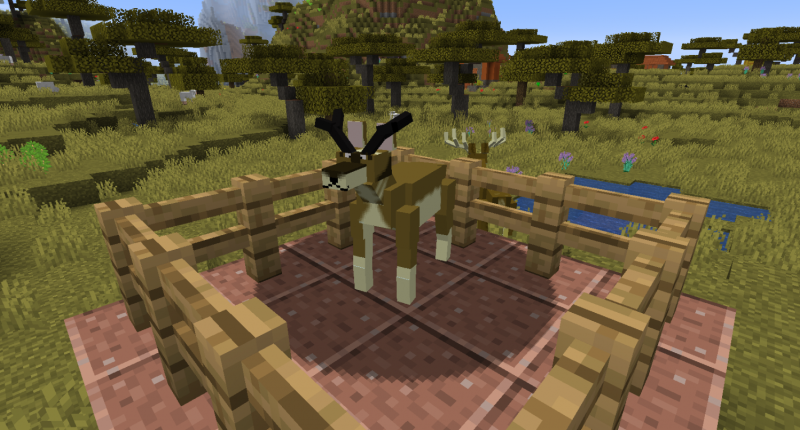 Huntable Animals | MCreator