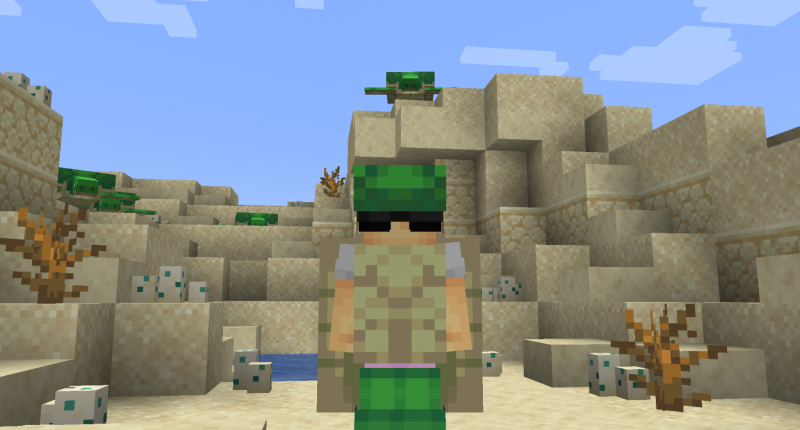 Turtle Armor | MCreator