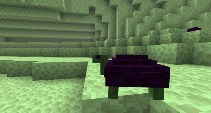 more turtles | MCreator