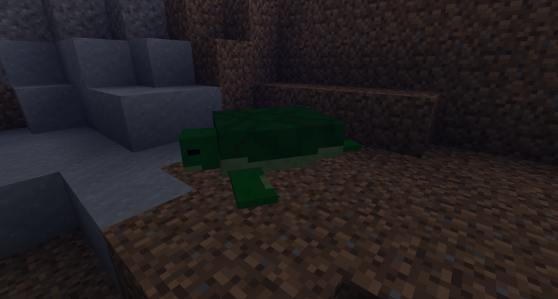 more turtles | MCreator